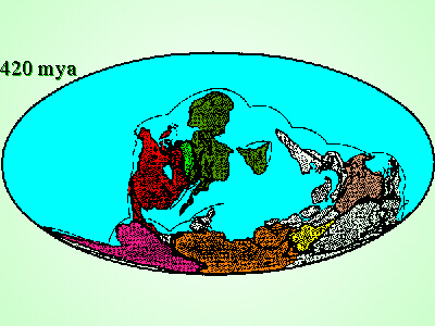 Continental Drift and Evolution