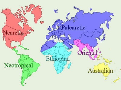 Terrestrial Ecosystems