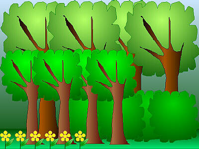 Stratification and Ecotones